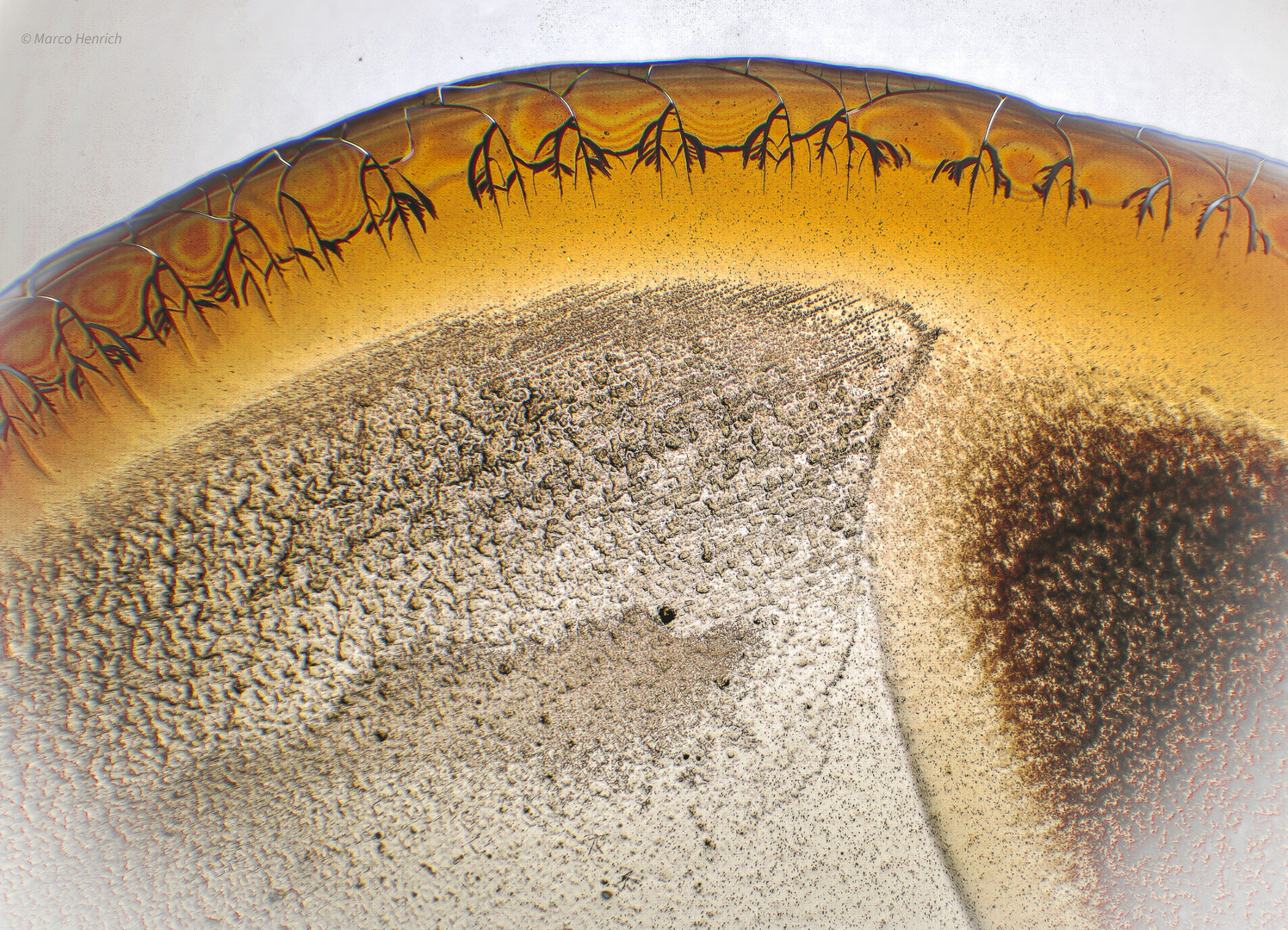 was das wohl sein mag? Foto & Bild | nah- & makro, techniken, aufnahme-techniken Bilder auf ...