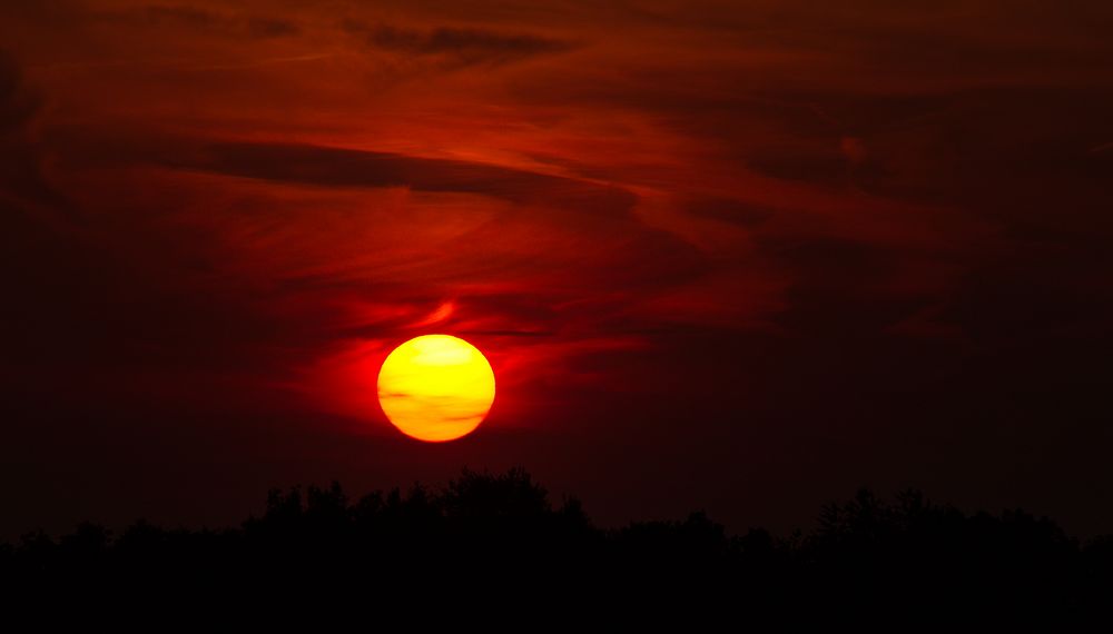 Was für eine Hitze! Foto & Bild | sonnenuntergang, wald, sommer Bilder ...