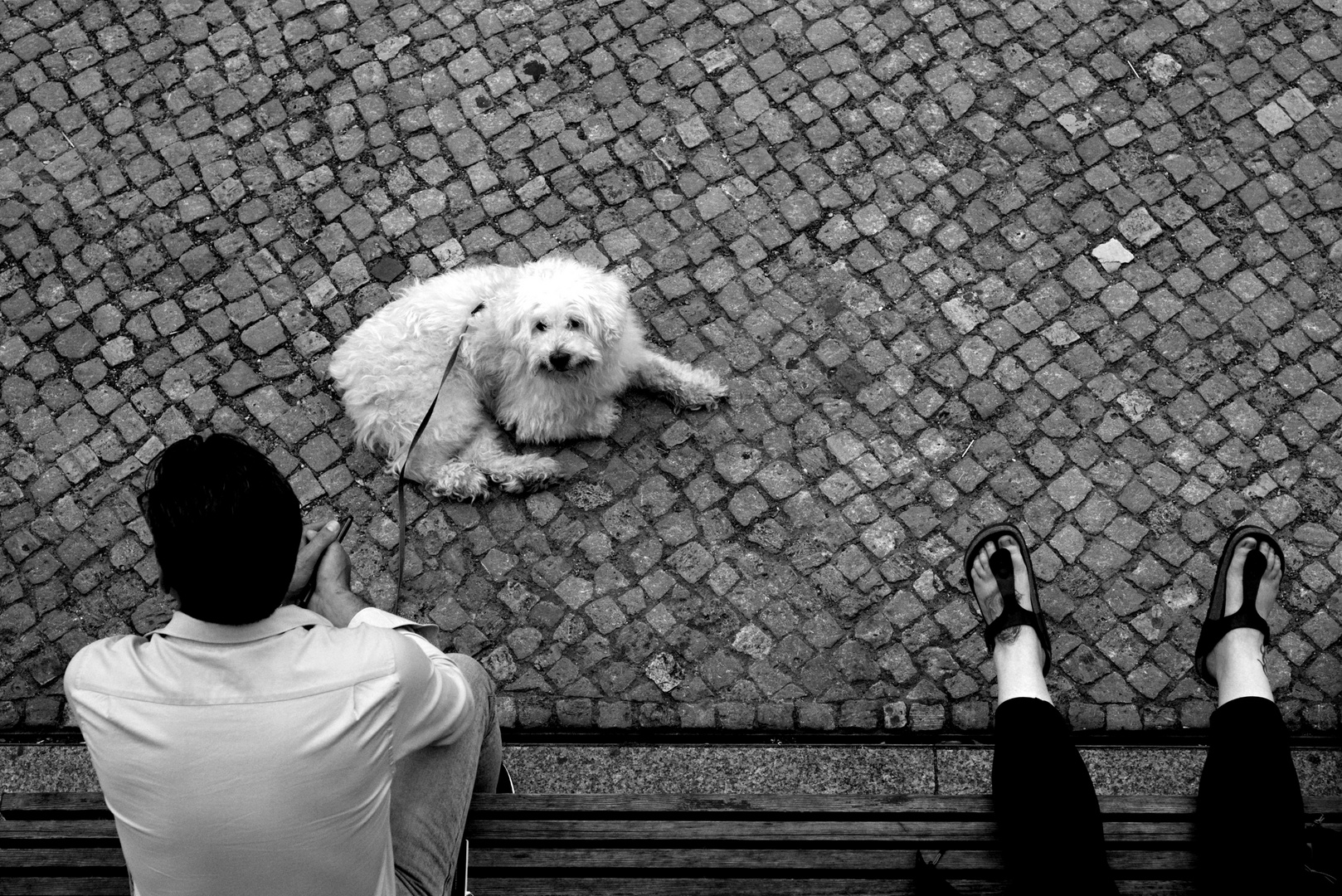 was guckst du Foto & Bild | streetfotografie mit menschen, street swvor2023, street Bilder auf ...