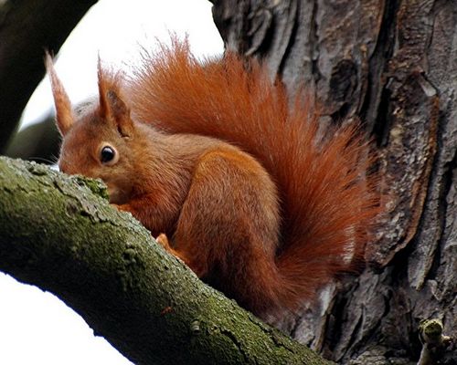 Christian Ebinger - Fotos & Bilder - Fotograf aus Nürnberg, Deutschland ...