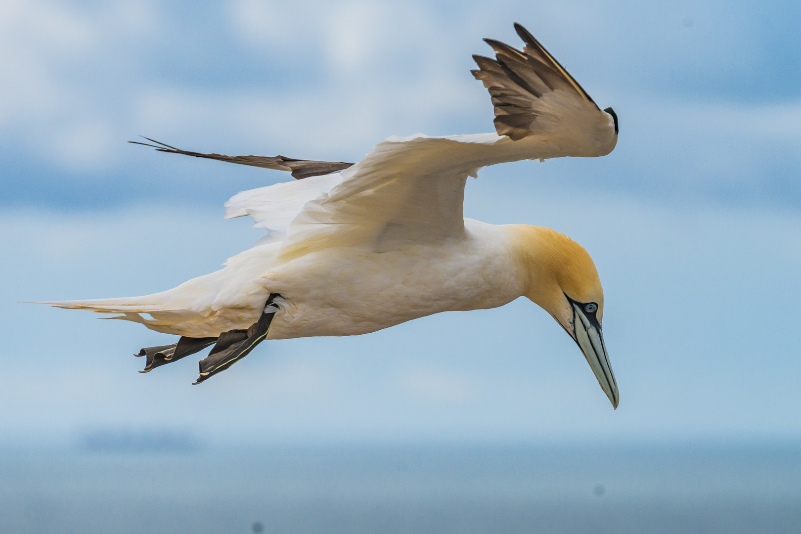 Was ist da unten los? Foto & Bild | deutschland, europe, schleswig ...