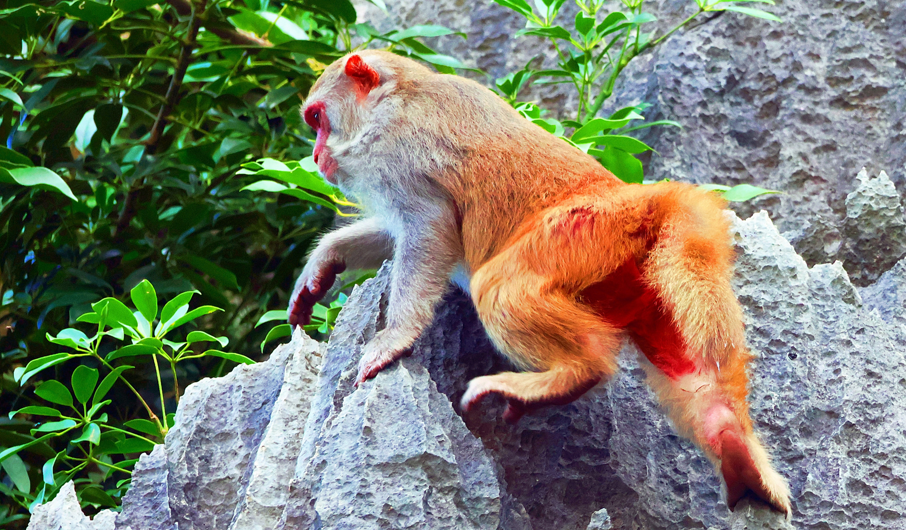 Was ist da unten los ? Foto & Bild | natur, tiere, wildlife Bilder auf ...