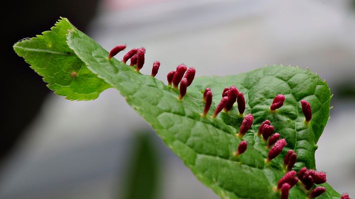 Thuri - Fotos & Bilder - Fotograf aus Oberglatt, Schweiz | fotocommunity