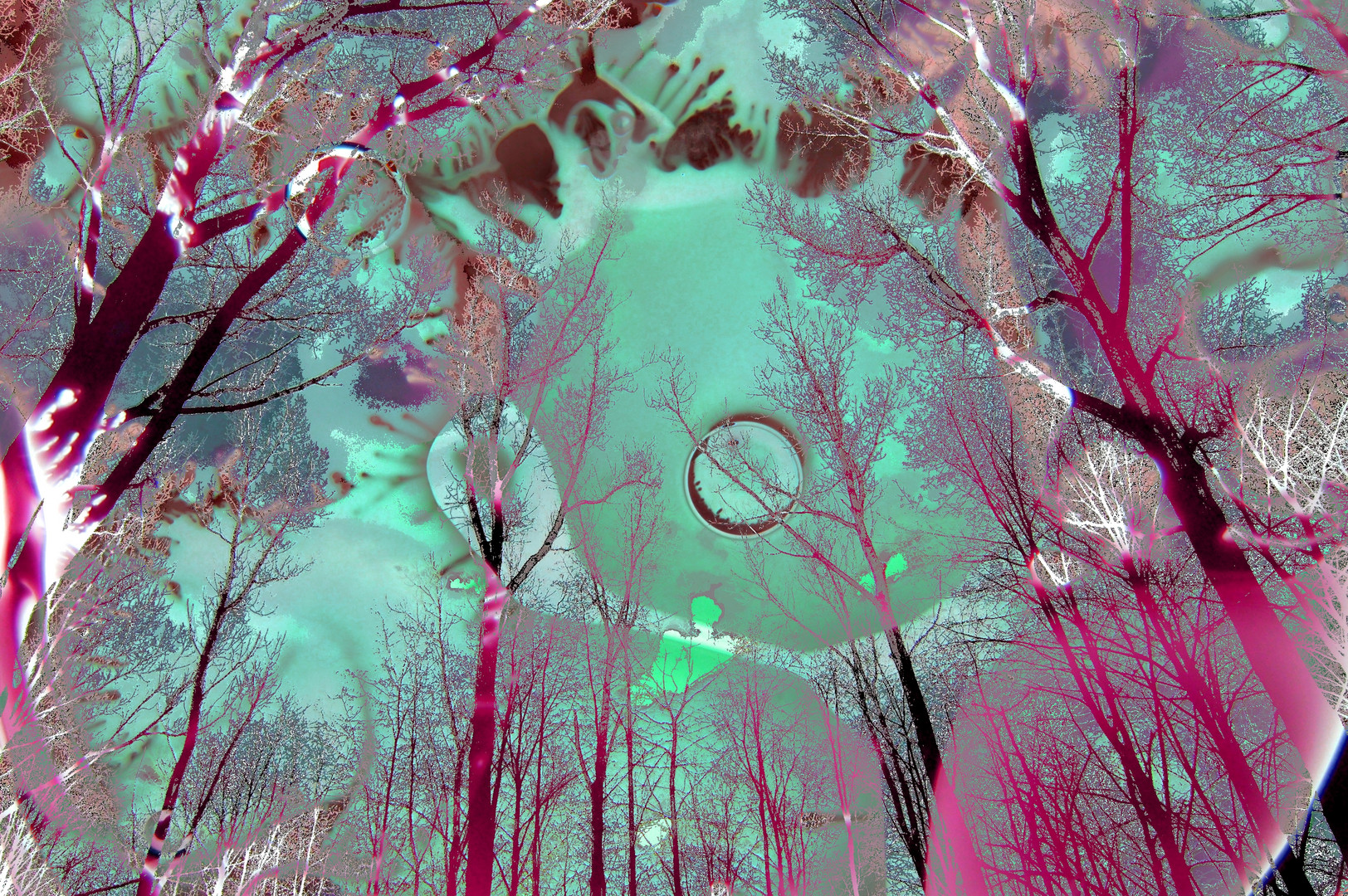 Was Lucy durch den Diamanten sah Foto & Bild | fotomontage, fantasy ...