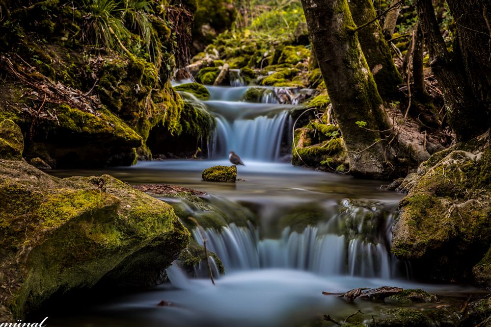 wasse Foto & Bild | landschaft, bad urach, natur Bilder auf fotocommunity