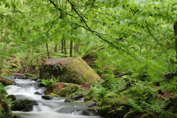 Uwe Mewes - Fotos & Bilder - Fotograf aus Lautern, Deutschland ...