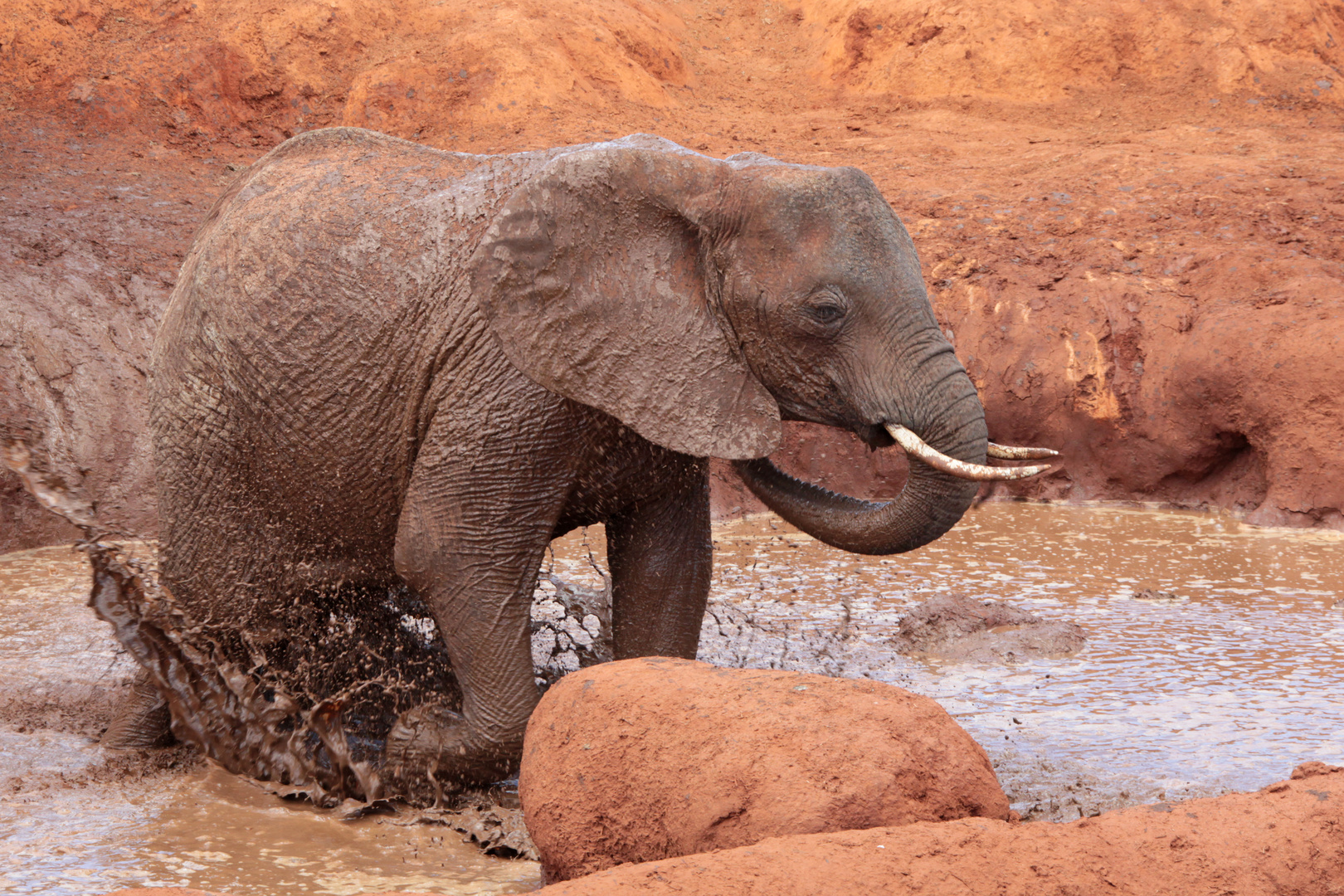 Wasser... Foto & Bild | africa, eastern africa, kenya Bilder auf ...