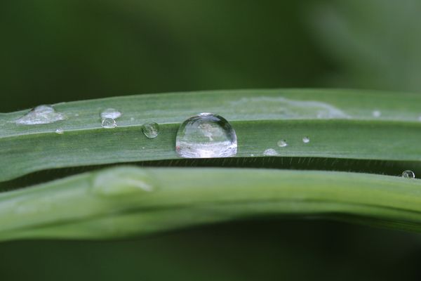 Randy Schulte - Fotos & Bilder - Fotografin aus Gelsenkirchen ...