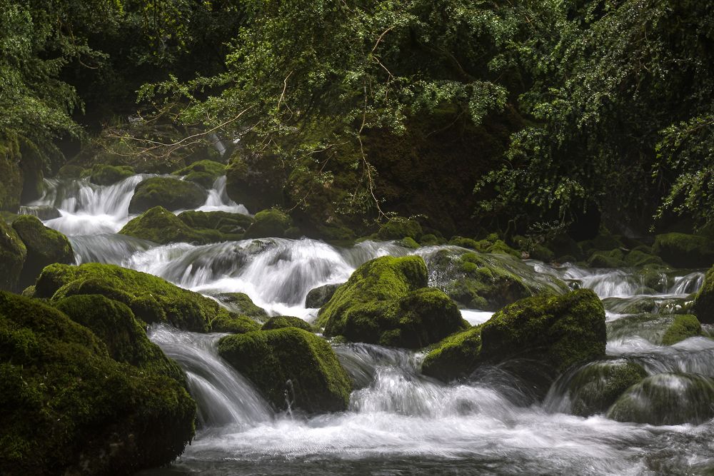 Wasser, Steine und Moos Foto & Bild | france, world, wald Bilder auf ...