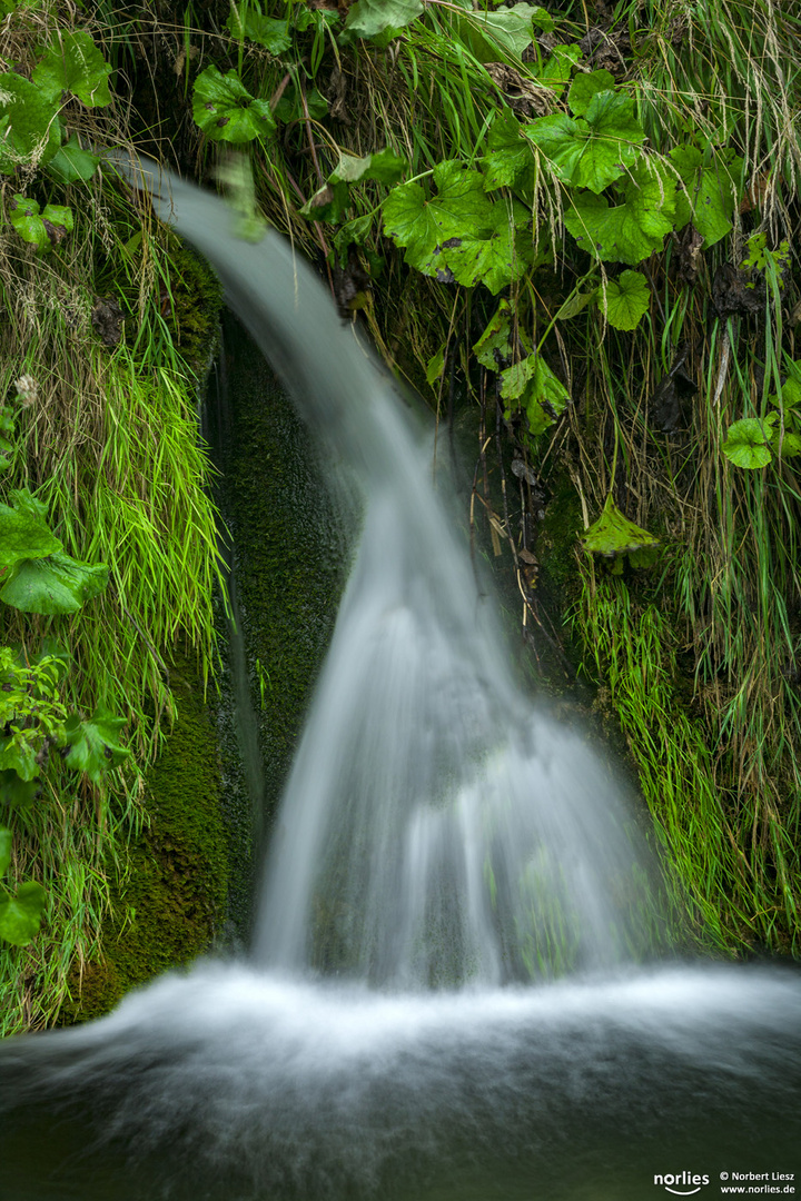 Wasser-Trichter Foto & Bild | water, wasser, grün Bilder auf fotocommunity