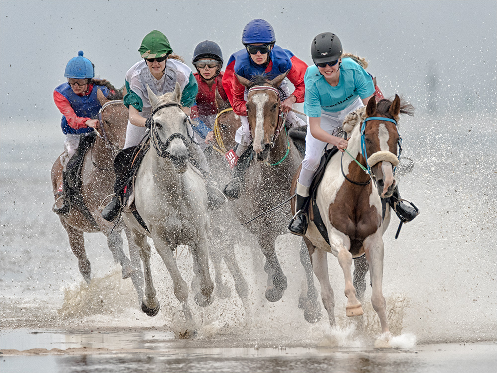 Wasser und Dreck..... Foto & Bild | sport, sport mit tieren ...