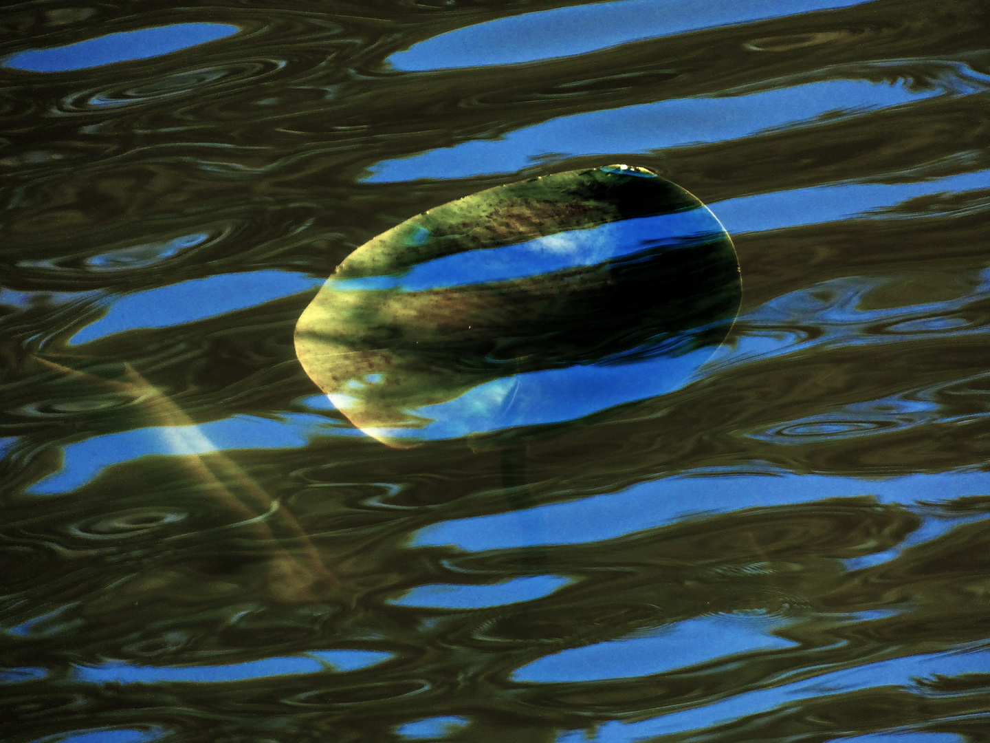 Wasser und mehr Foto & Bild | fotomontage, fantasy mystery, bearbeitungs - techniken Bilder auf ...