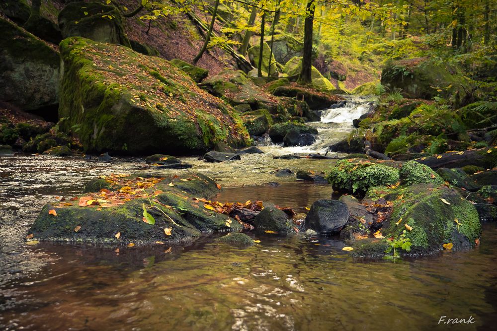 Wasserlandschaft Foto & Bild | landschaft, jahreszeiten, herbst Bilder ...