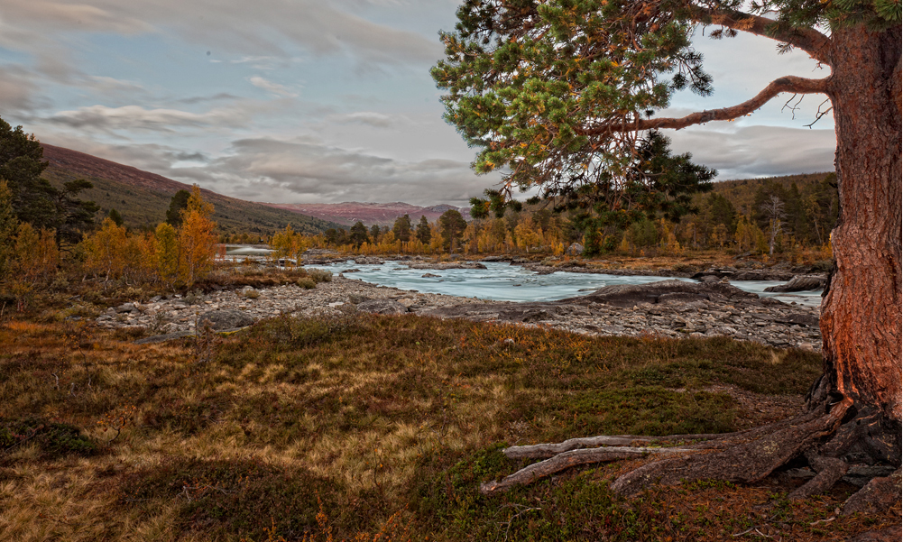 Wasserlauf in Oddadalen Foto & Bild | europe, scandinavia, norway ...