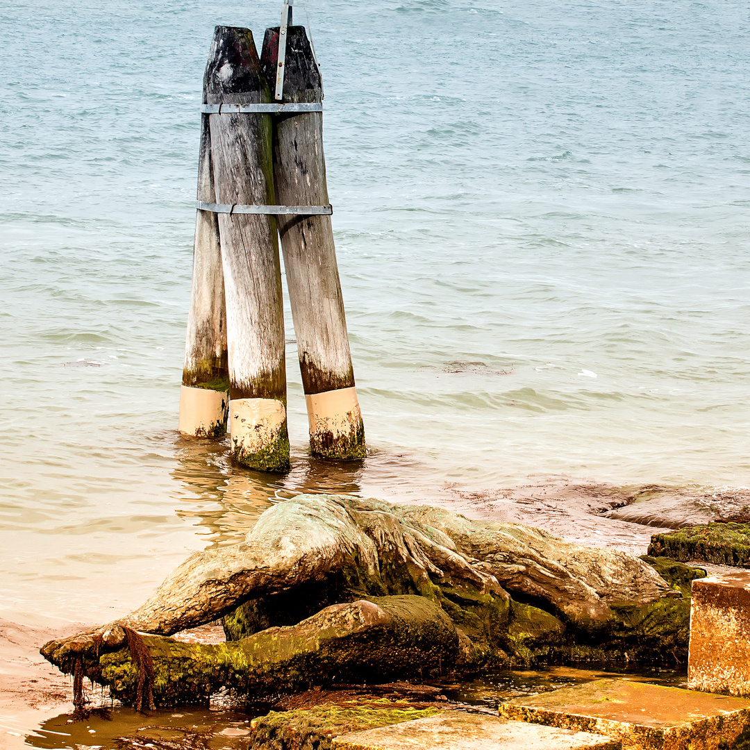 wasserleiche Foto & Bild | world Bilder auf fotocommunity