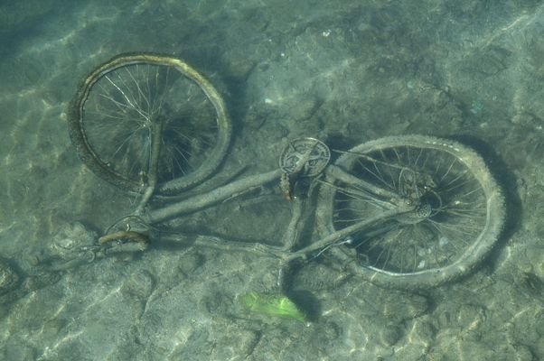 Dieter Zwainz - Fotos & Bilder - Fotograf aus Wien, Österreich ...