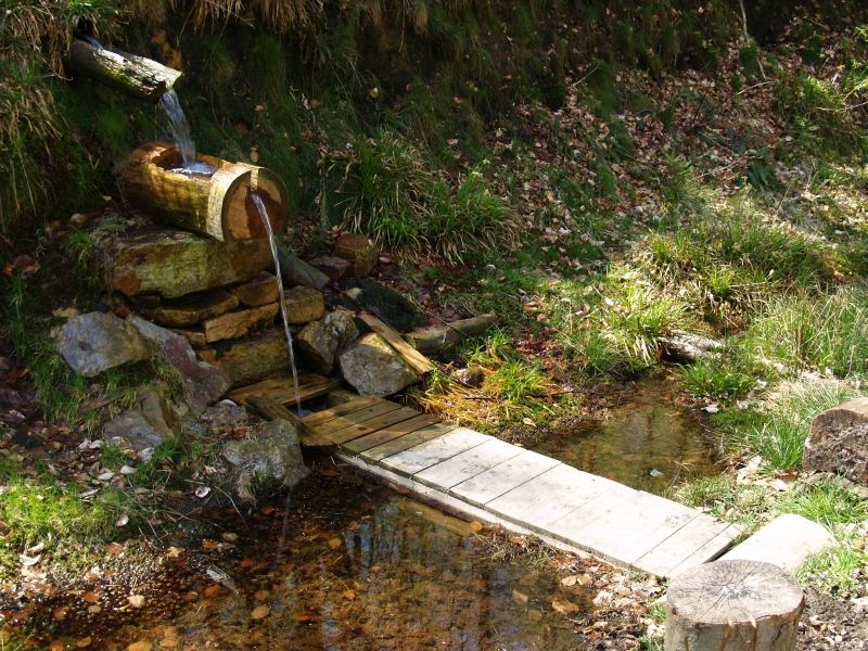 Wasserquelle Foto & Bild | sonstiges, wasser im detail, natur Bilder ...