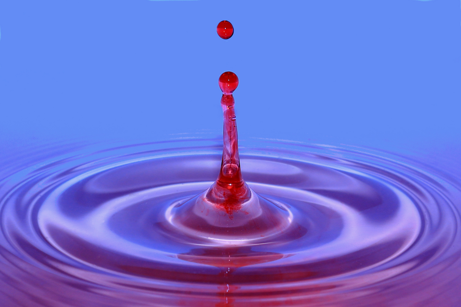 Wassertropfen Foto & Bild | experimente, wasser, tropfen Bilder auf ...