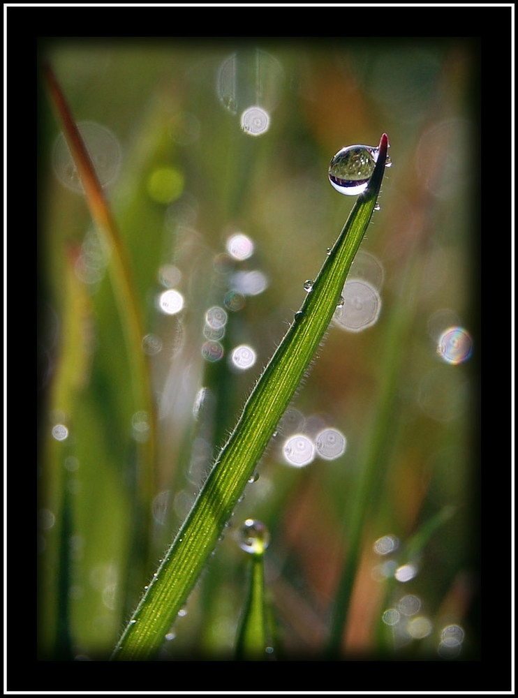 Wassertropfen Foto & Bild | sonstiges, wasser im detail, natur Bilder ...