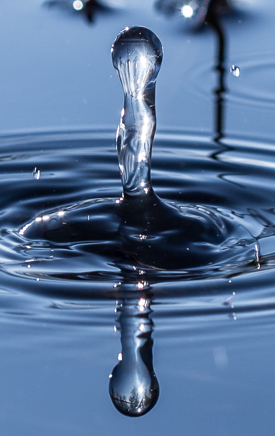 Wassertropfen Foto & Bild | sonstiges, wasser im detail, spiegelungen ...