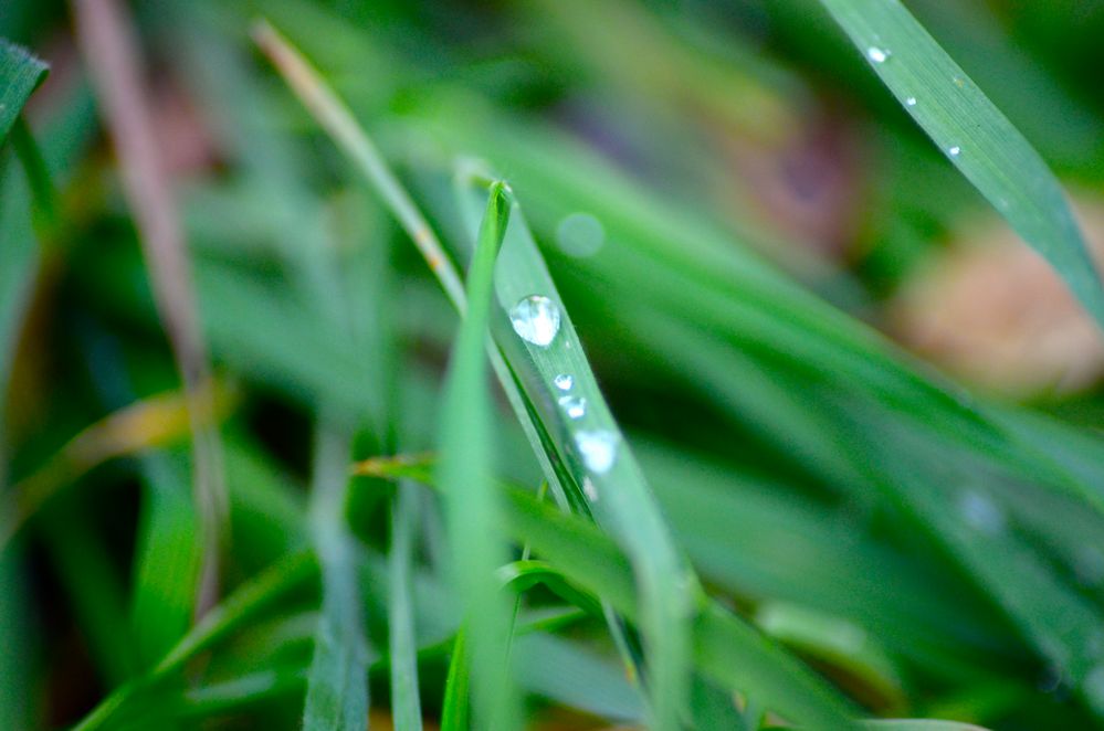 Wassertropfen Foto & Bild | naturereignisse, die elemente, dies & das ...