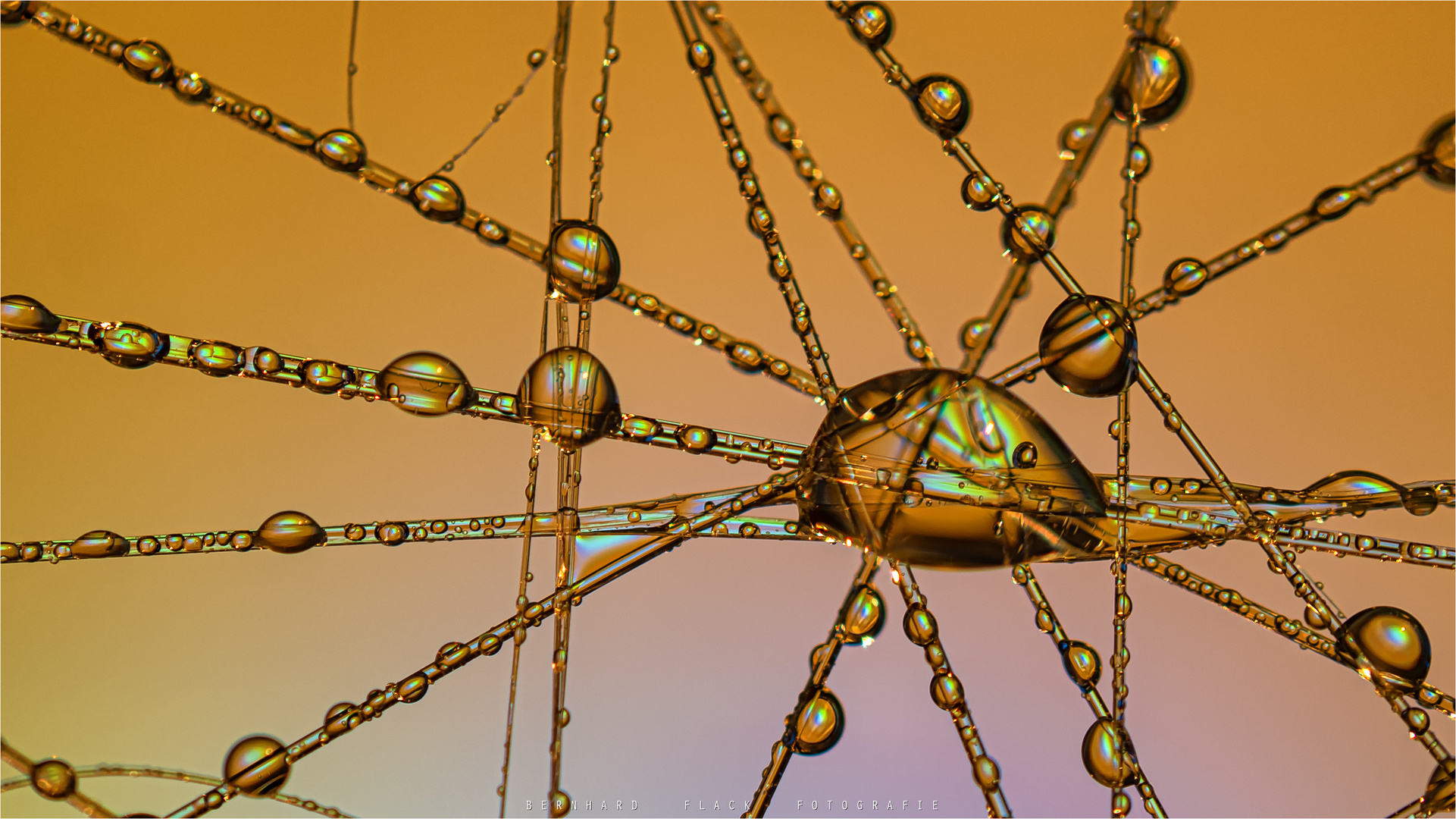 Wassertropfen Foto & Bild | abstraktes, wasser, makro Bilder auf ...