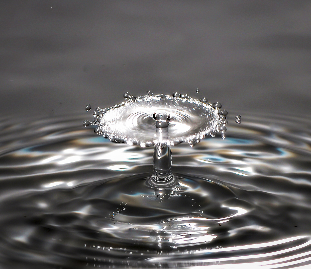 Wassertropfen Foto & Bild | spezial Bilder auf fotocommunity