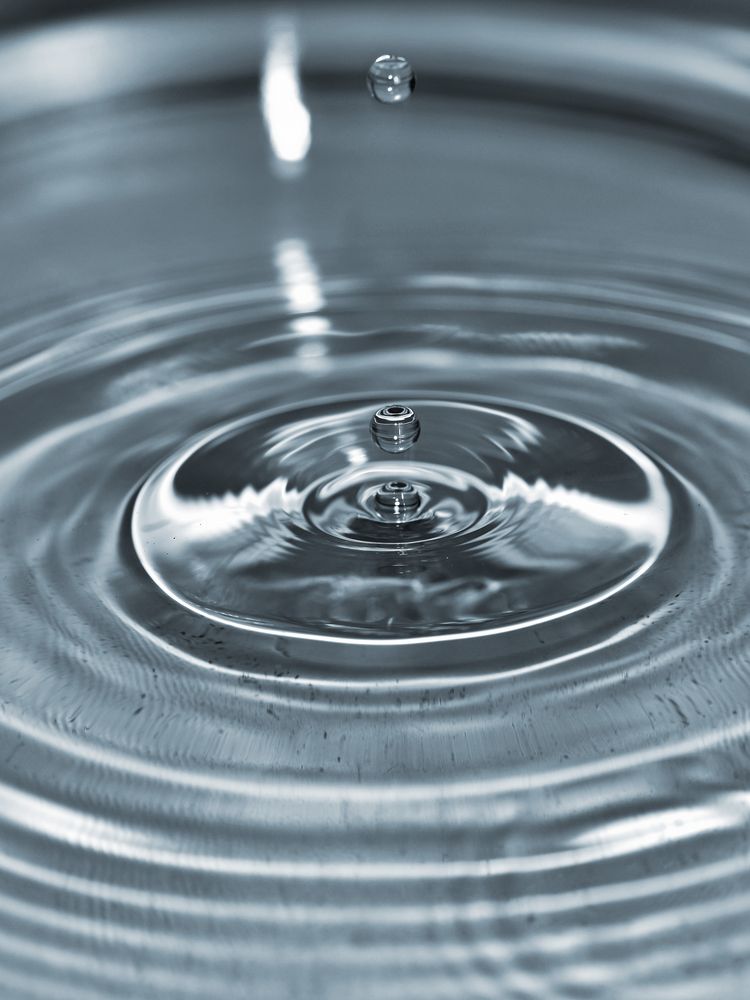 Wassertropfen Foto & Bild | archiv projekte naturchannel ...