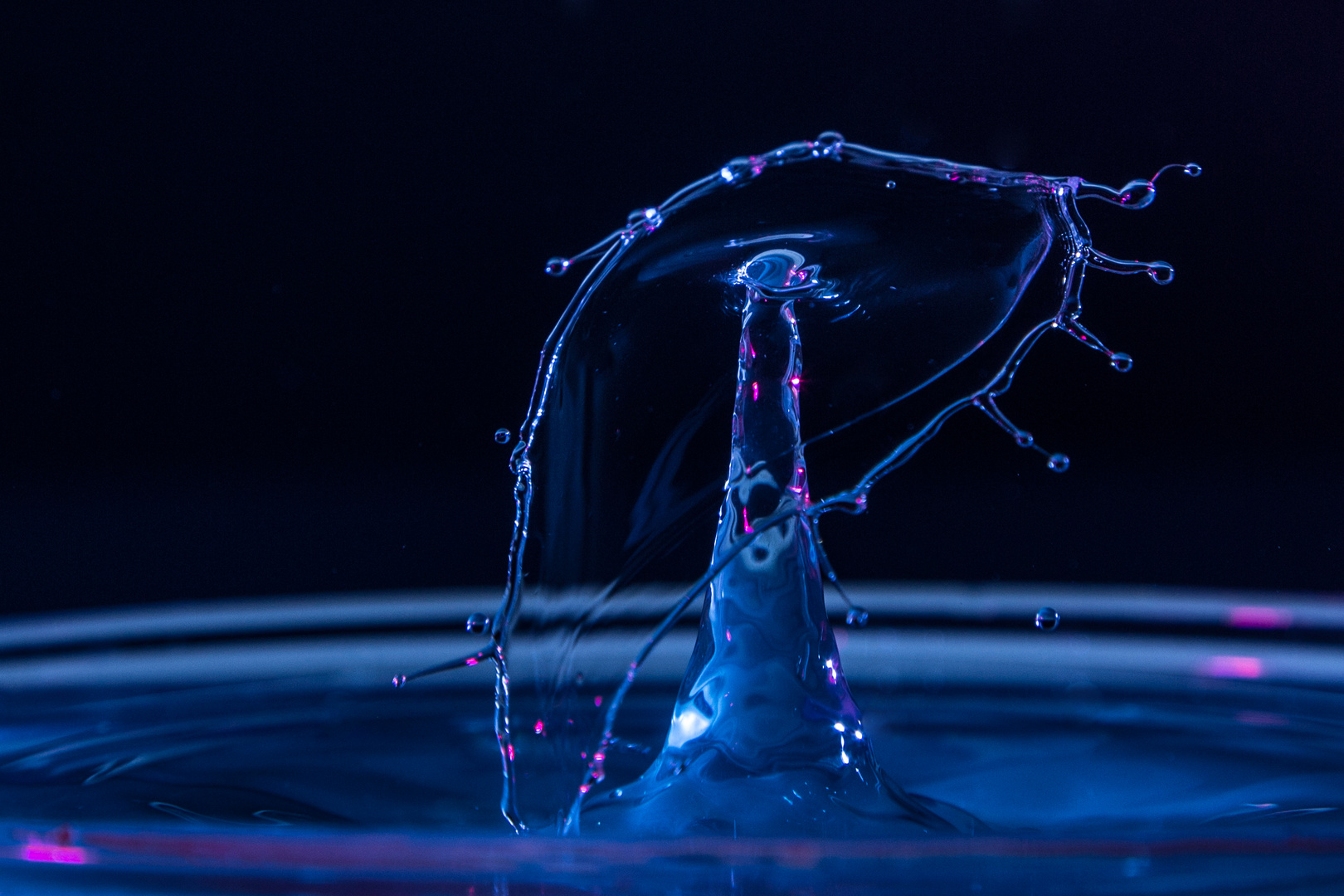 Wassertropfen_1 Foto & Bild | wasser, natur, experiment Bilder auf ...