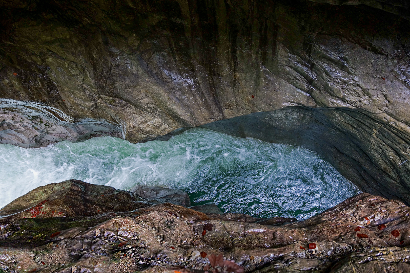 Wasserwurm VI Foto & Bild | world, wasser, natur Bilder auf fotocommunity