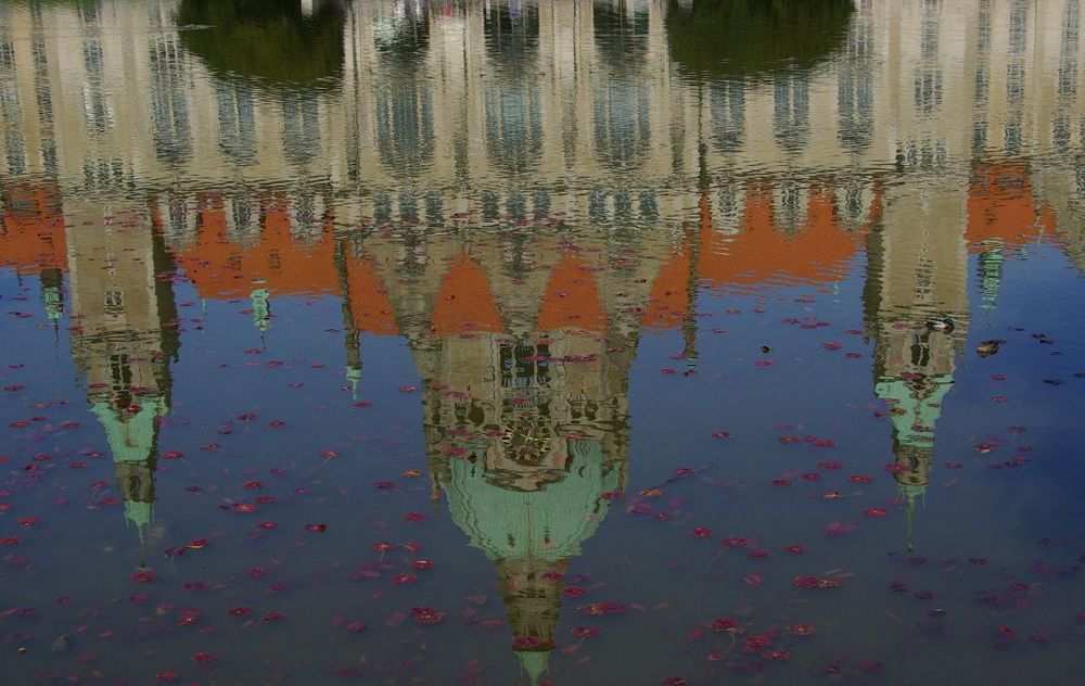 wasserzeichen Foto & Bild | deutschland, europe, niedersachsen Bilder ...