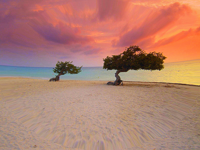 Watapana tree. photo & image | architecture, subjects images at photo ...