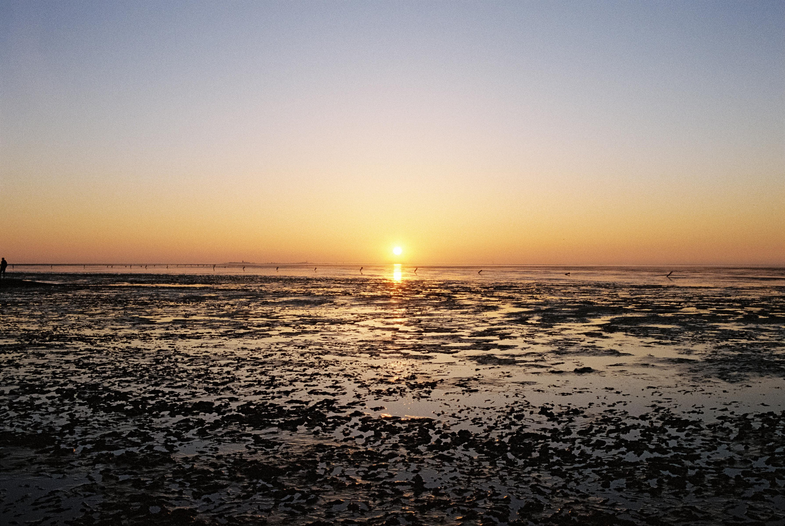 Watt bei Cuxhaven Foto & Bild | landschaft, meer & strand, watt Bilder ...