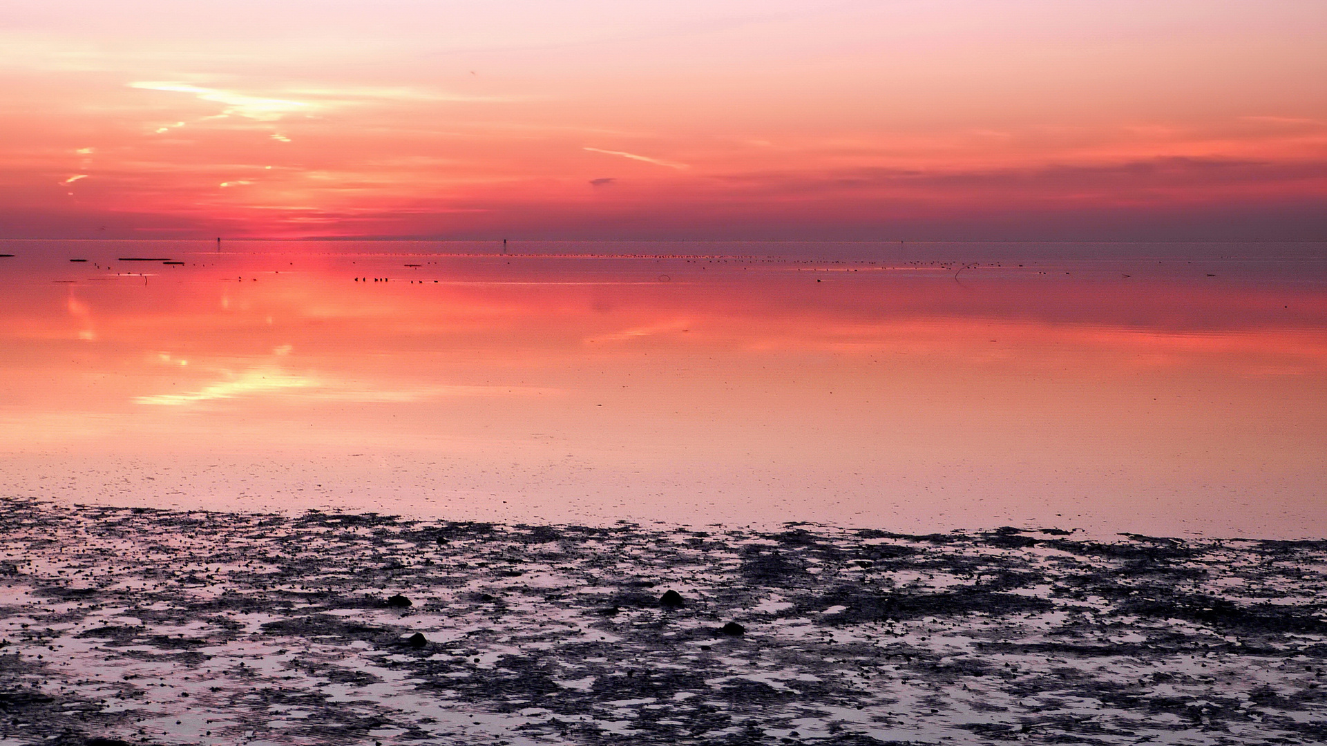 Wat(t) denn ? Sonntag mit Sonne ! Foto & Bild | world, spezial ...