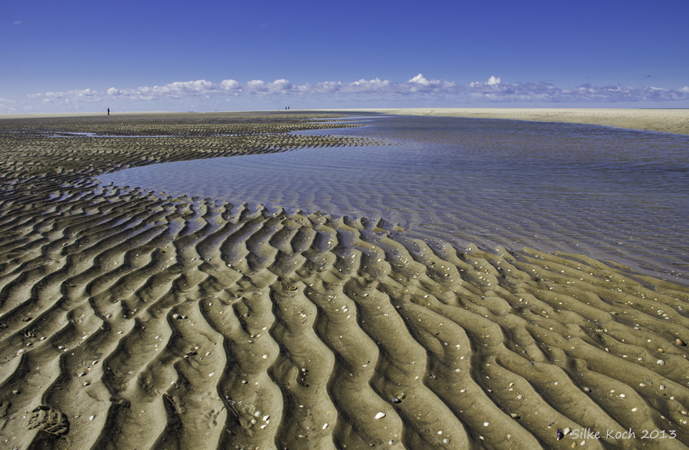 Watt pur Foto & Bild | landschaft, meer & strand, watt Bilder auf fotocommunity