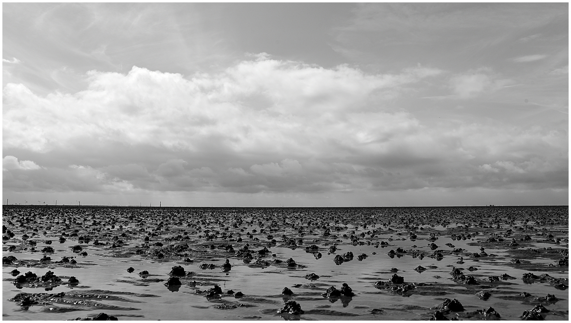 Wattenmeer Foto & Bild | deutschland, europe, niedersachsen Bilder auf ...