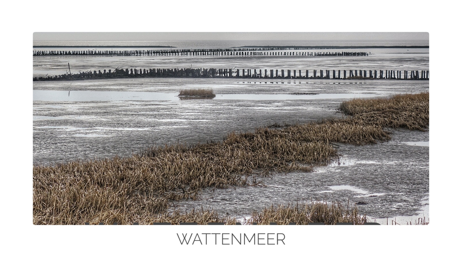 Wattenmeer Foto & Bild | landschaft, meer & strand, watt Bilder auf fotocommunity