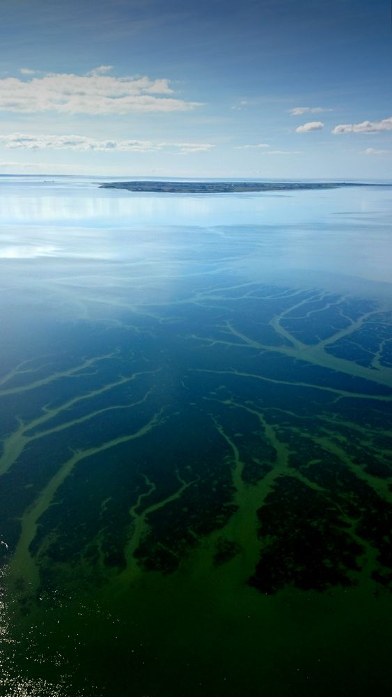 Wattenmeer Foto & Bild | landschaft, kulturlandschaften, natur Bilder ... Wattenmeer Foto & Bild | landschaft, kulturlandschaften, natur Bilder ...