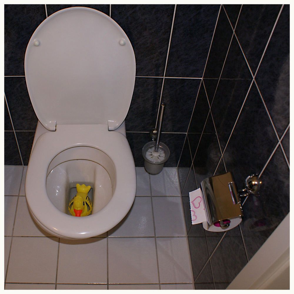WC- Ente Foto & Bild | quatsch, fun und rätselecke, wÖrtlich genommen ...