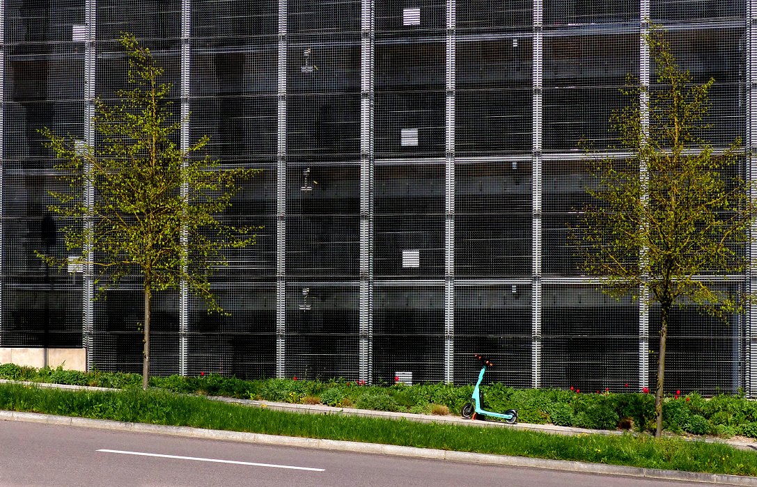 Weck das Tier in Tier Foto & Bild | blumen, ingolstadt, blomen Bilder ...