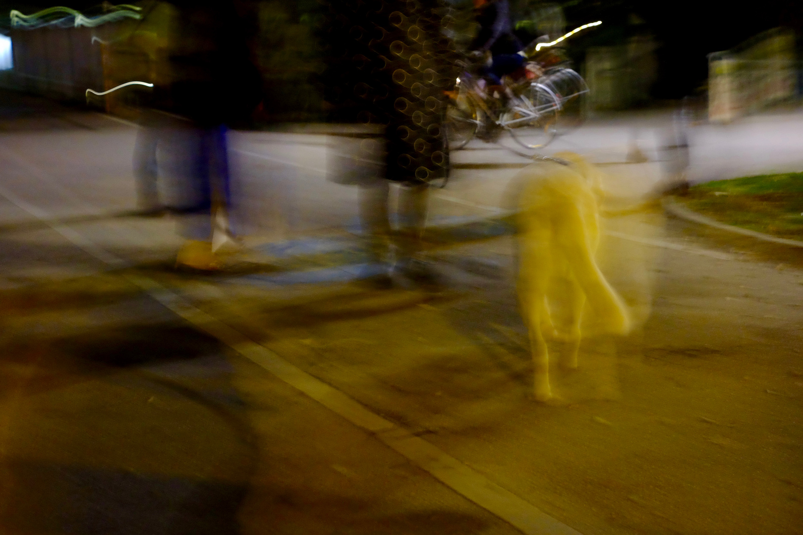 wedeln Foto & Bild | quatsch, fun und rätselecke, experimente ...