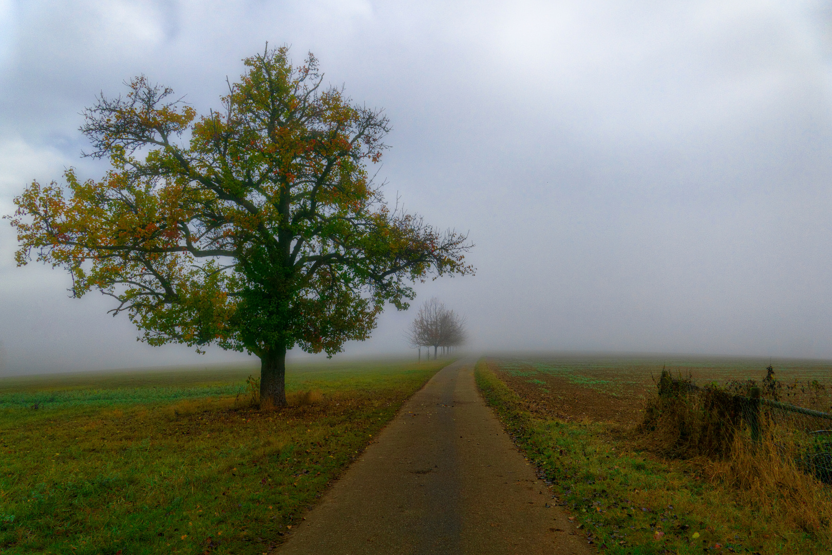 Weg Foto & Bild | bäume, weg, herbst Bilder auf fotocommunity