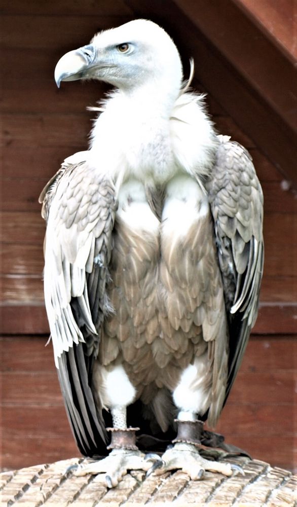 Weg Gucker Foto & Bild | deutschland, europe, saarland Bilder auf ...