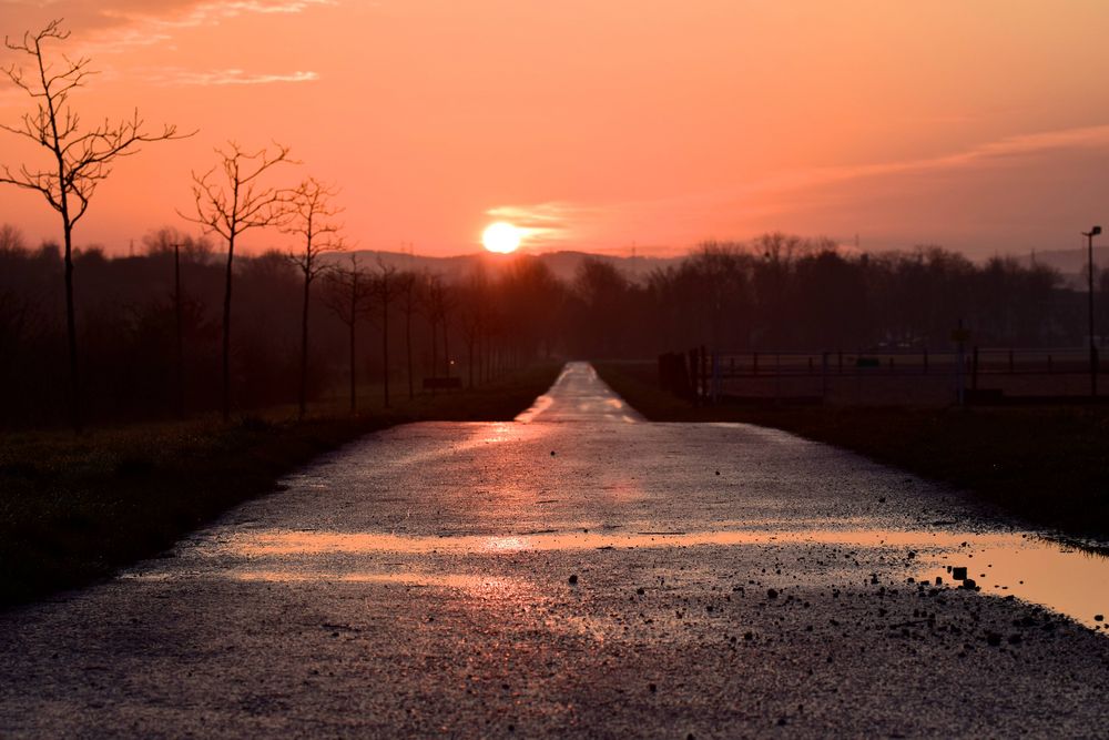 Weg in der Morgensonne Foto & Bild | sonnenaufgänge, himmel & universum ...