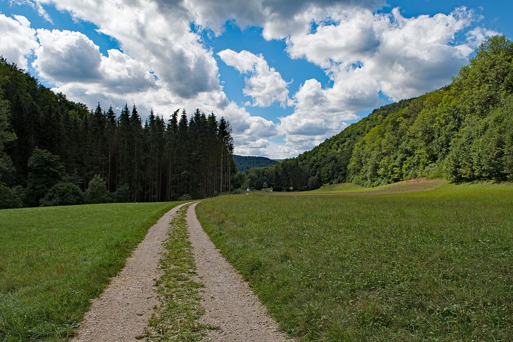 Weg in die Natur Foto & Bild | world, deutschland, wandern Bilder auf ...