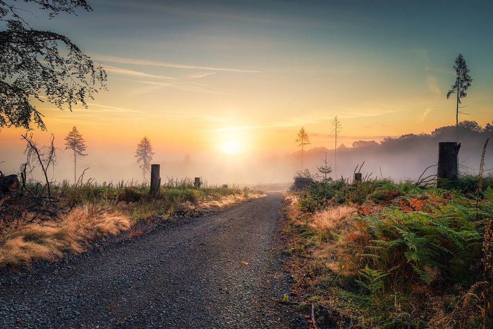 Weg ins Freie Foto & Bild | landschaft, jahreszeiten, herbst Bilder auf fotocommunity