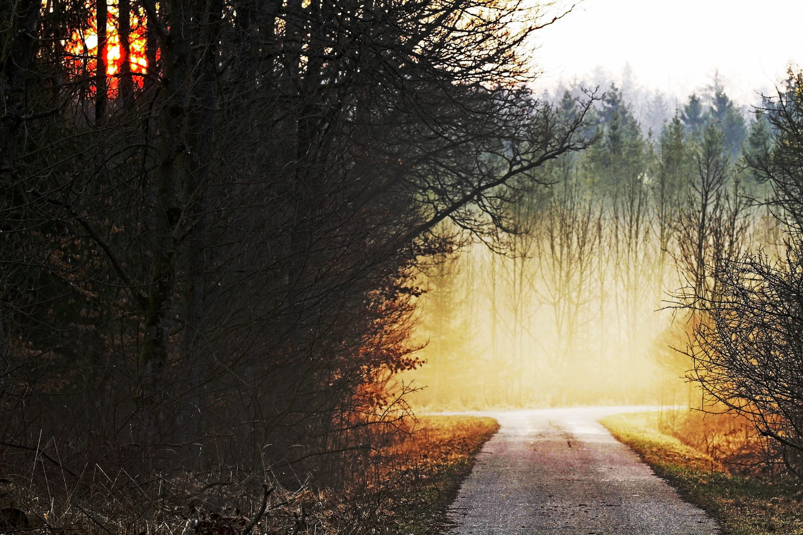 Weg ins Licht..... Foto & Bild | landschaft, wege und pfade ...