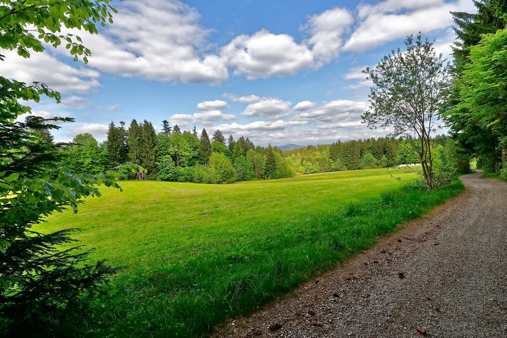 Weg, Wiese, Wald und Wolken Foto & Bild | mai, wald, bäume Bilder auf ...