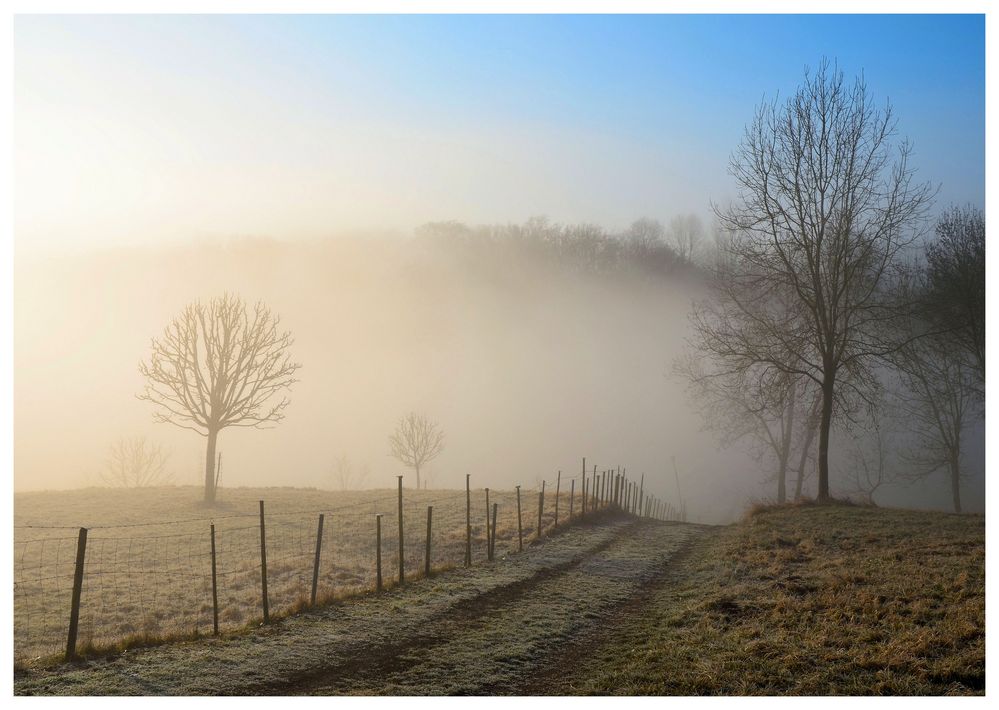 Weg wohin ? Foto & Bild | deutschland, europe, rheinland-pfalz Bilder ...