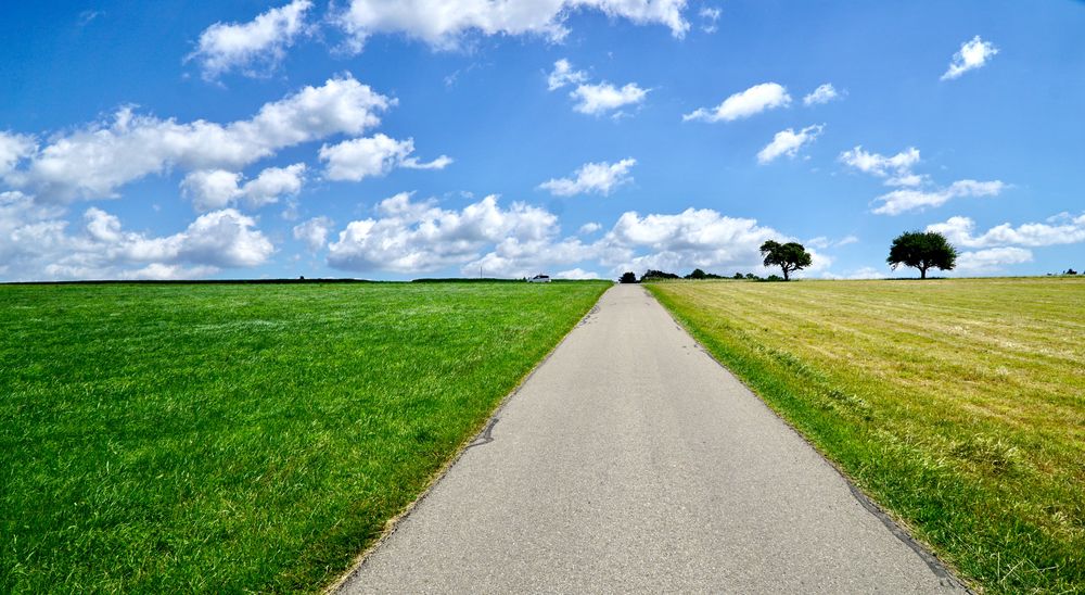 Weg zum Horizont Foto & Bild | landschaft, blau, bäume Bilder auf ...